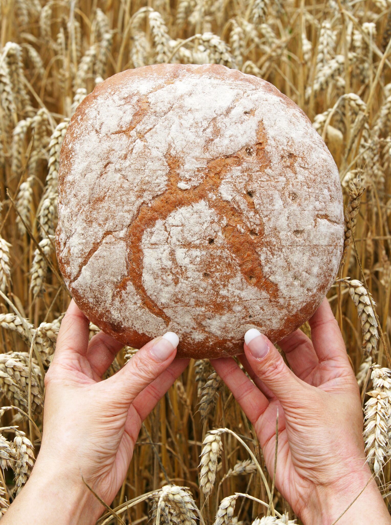 Aktion Minibrot - Pastoraler Raum Brilon